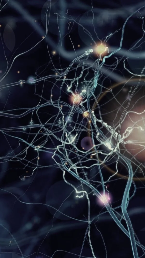 What Is Mind Change? — Mind Change