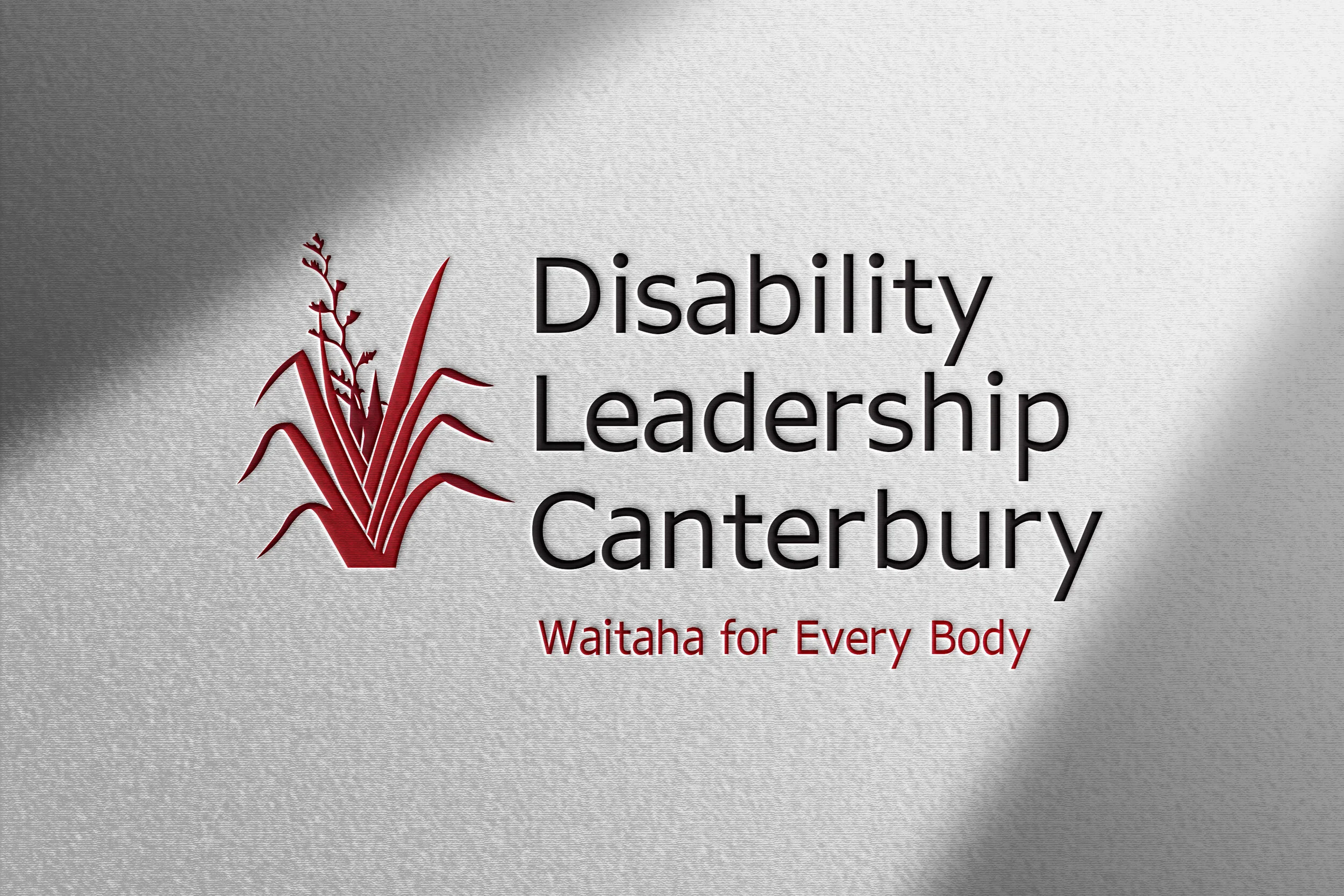 News & Events — Disability Leadership Canterbury | EDLG Trust