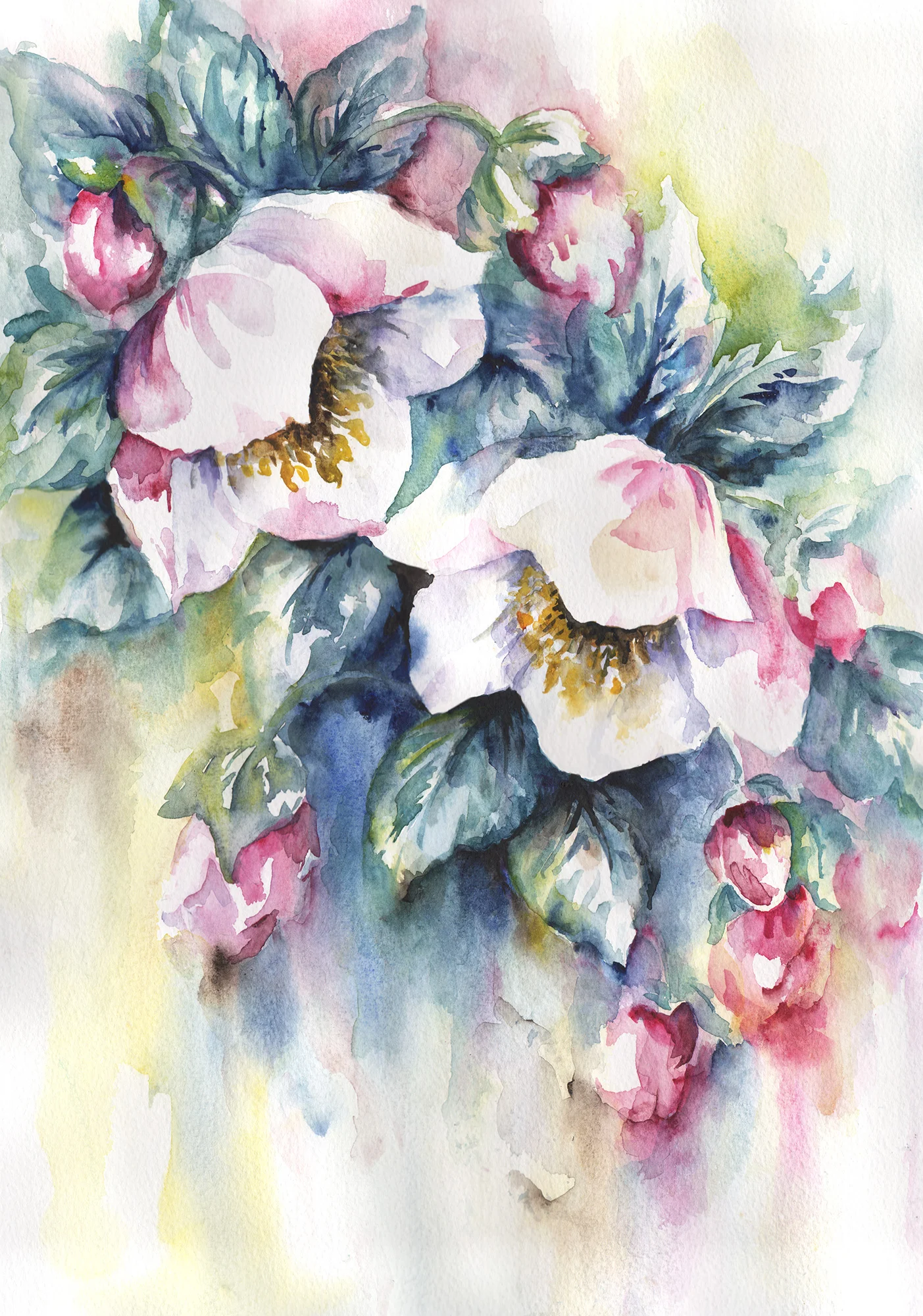 Painting Hellebores Watercolour Painting (half-day workshop) — Yardley Arts