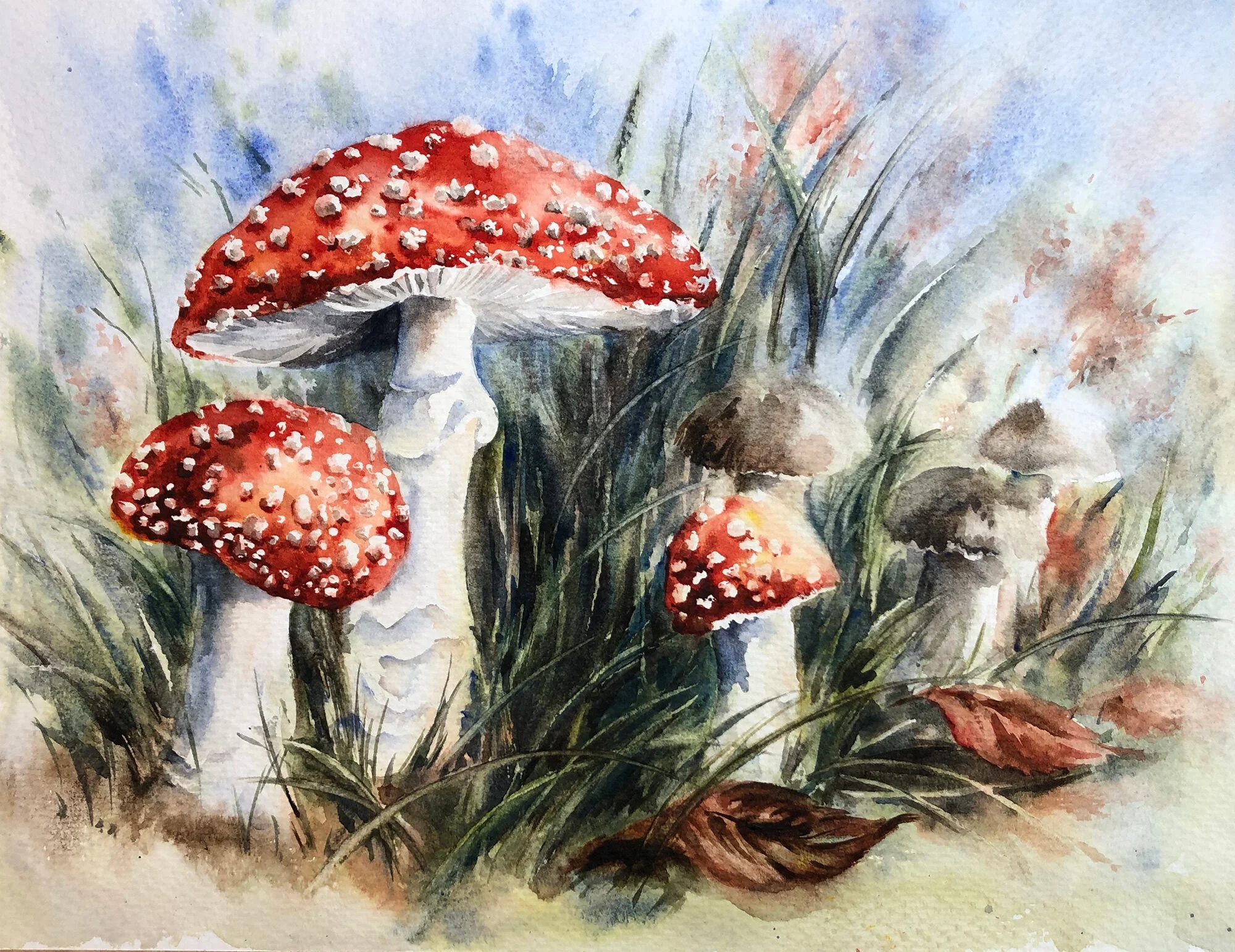 Colourful Toadstools Watercolour Painting (half-day workshop) — Yardley ...
