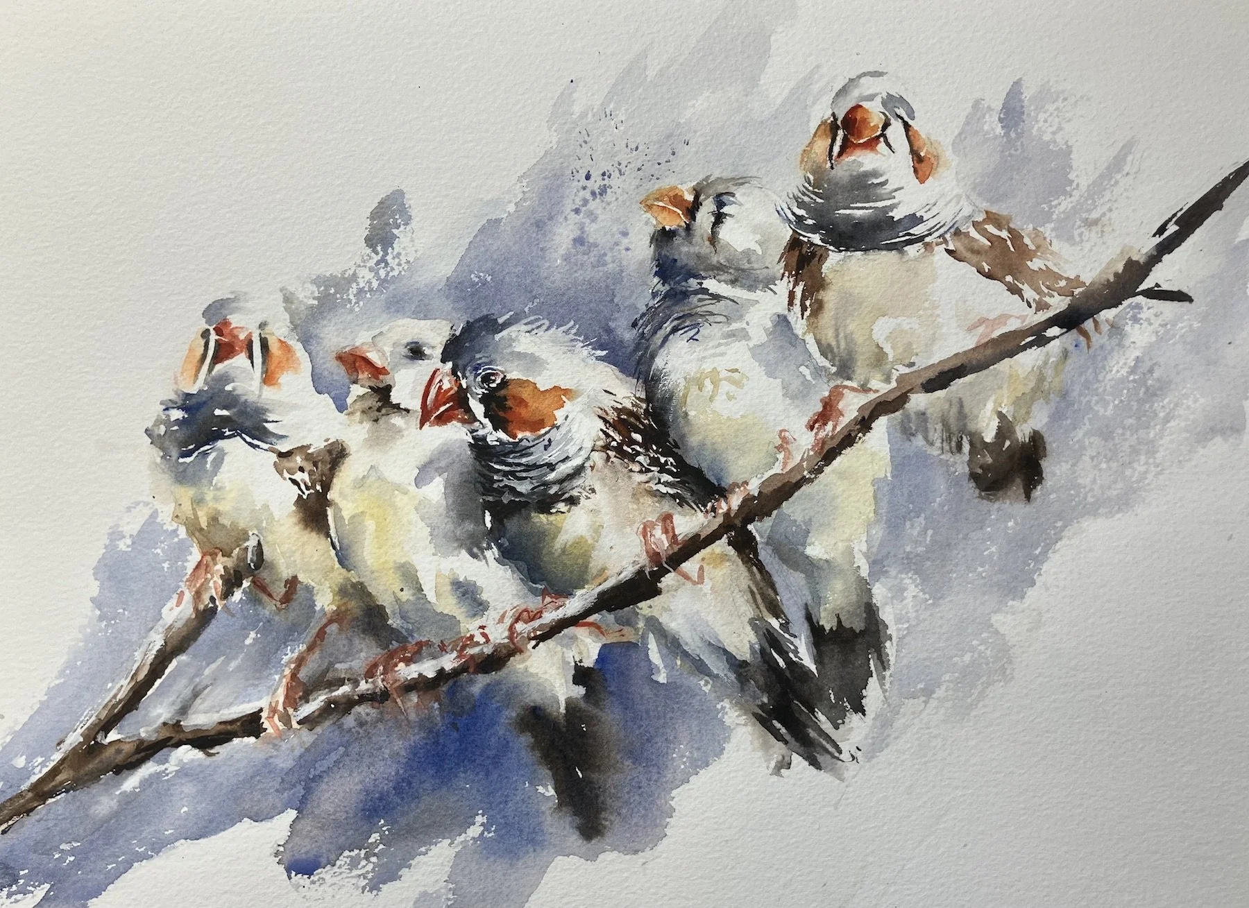 Painting Birds in Watercolour - Charming Company — Yardley Arts