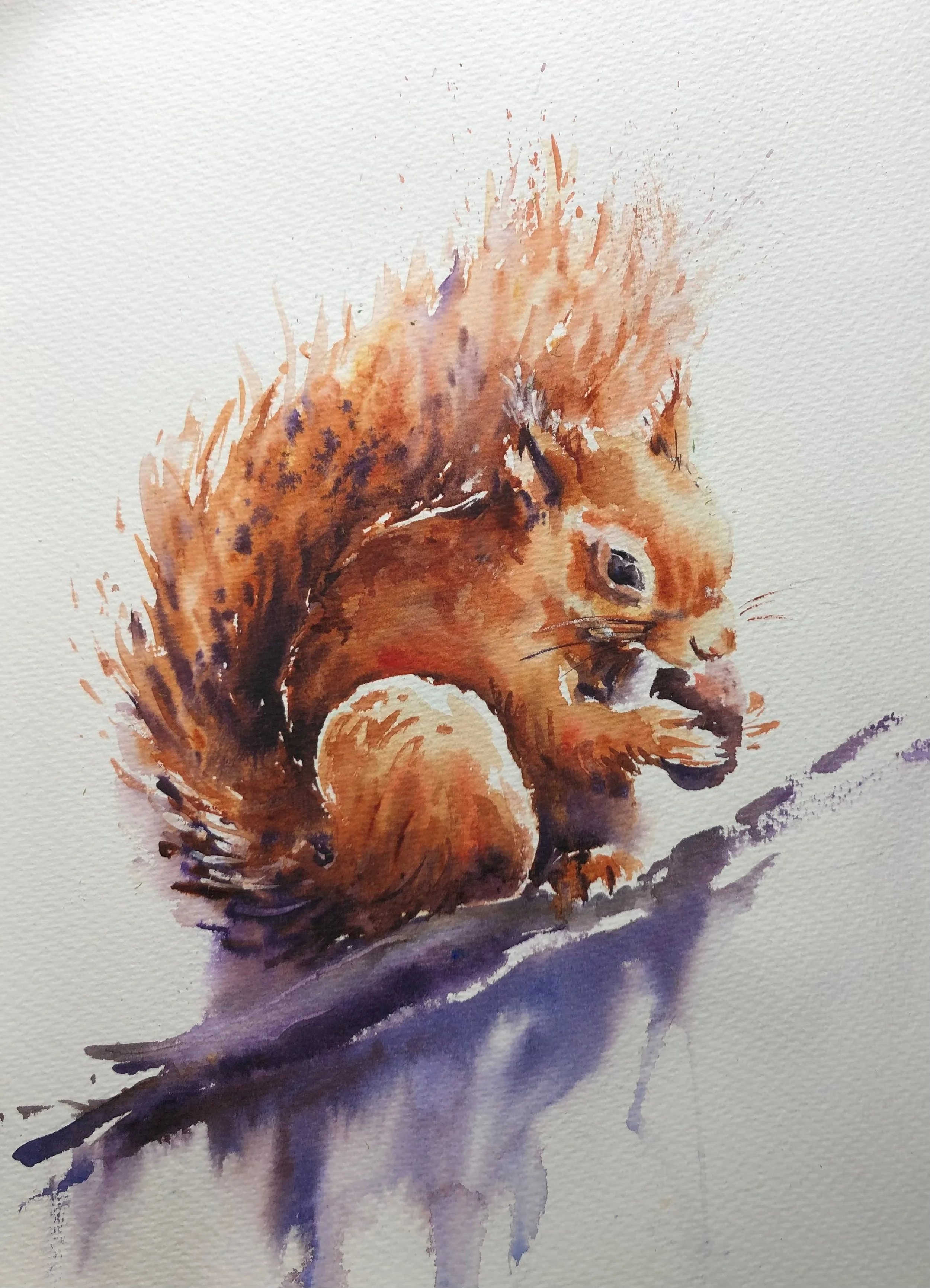 Woodland Animals Watercolour Painting - Radiant Red Squirrels — Yardley ...