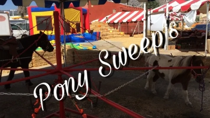 petting zoo and pony rides