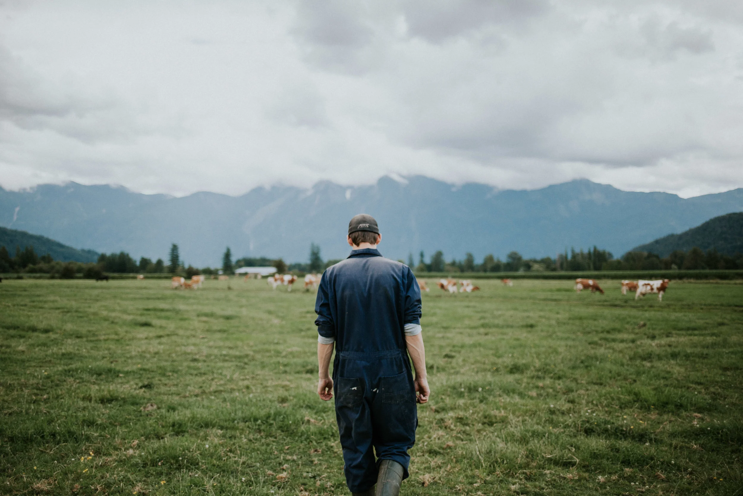 The Farm House Natural Cheeses - The Fraser Valley