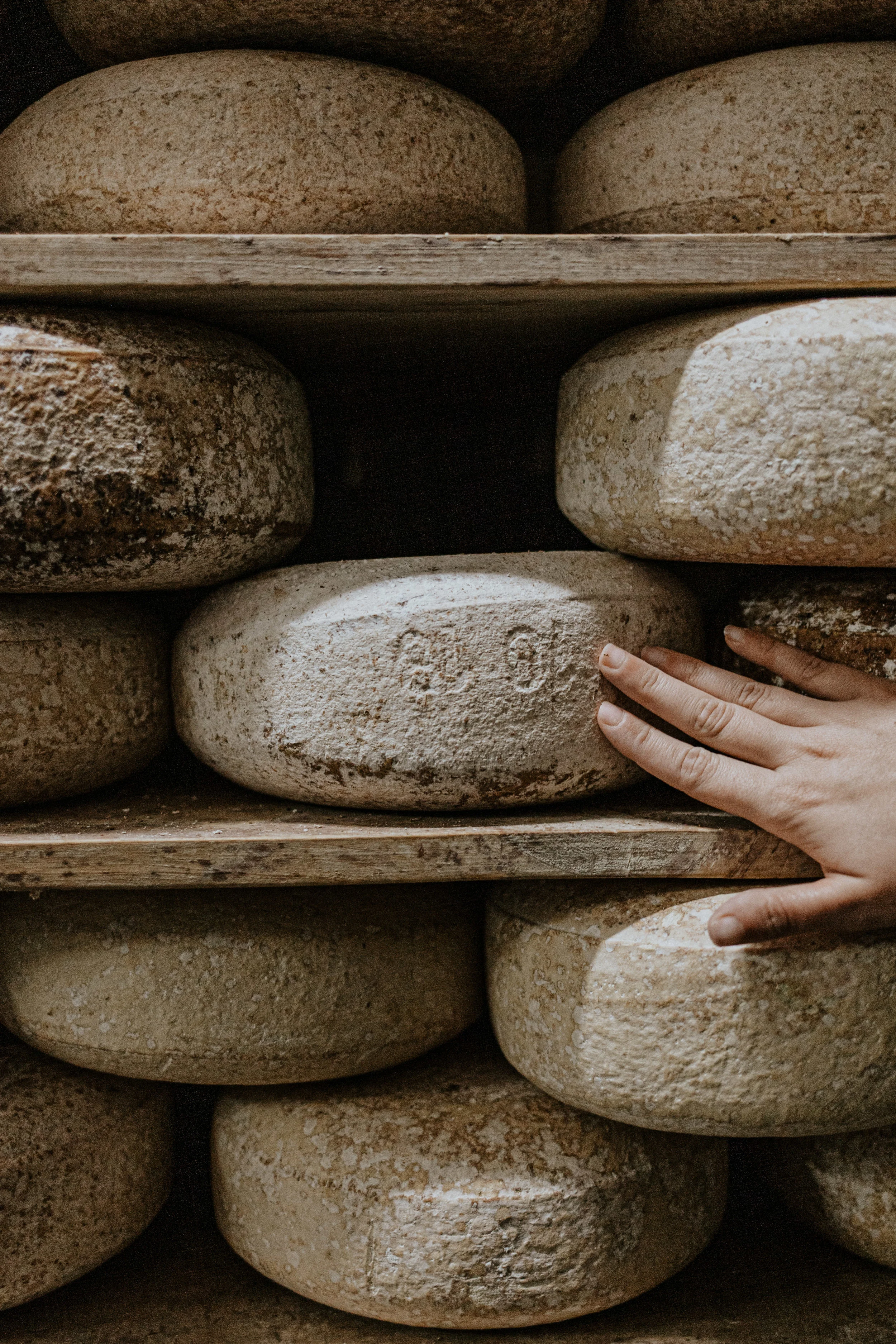 The Farm House Natural Cheeses - Fraser Valley