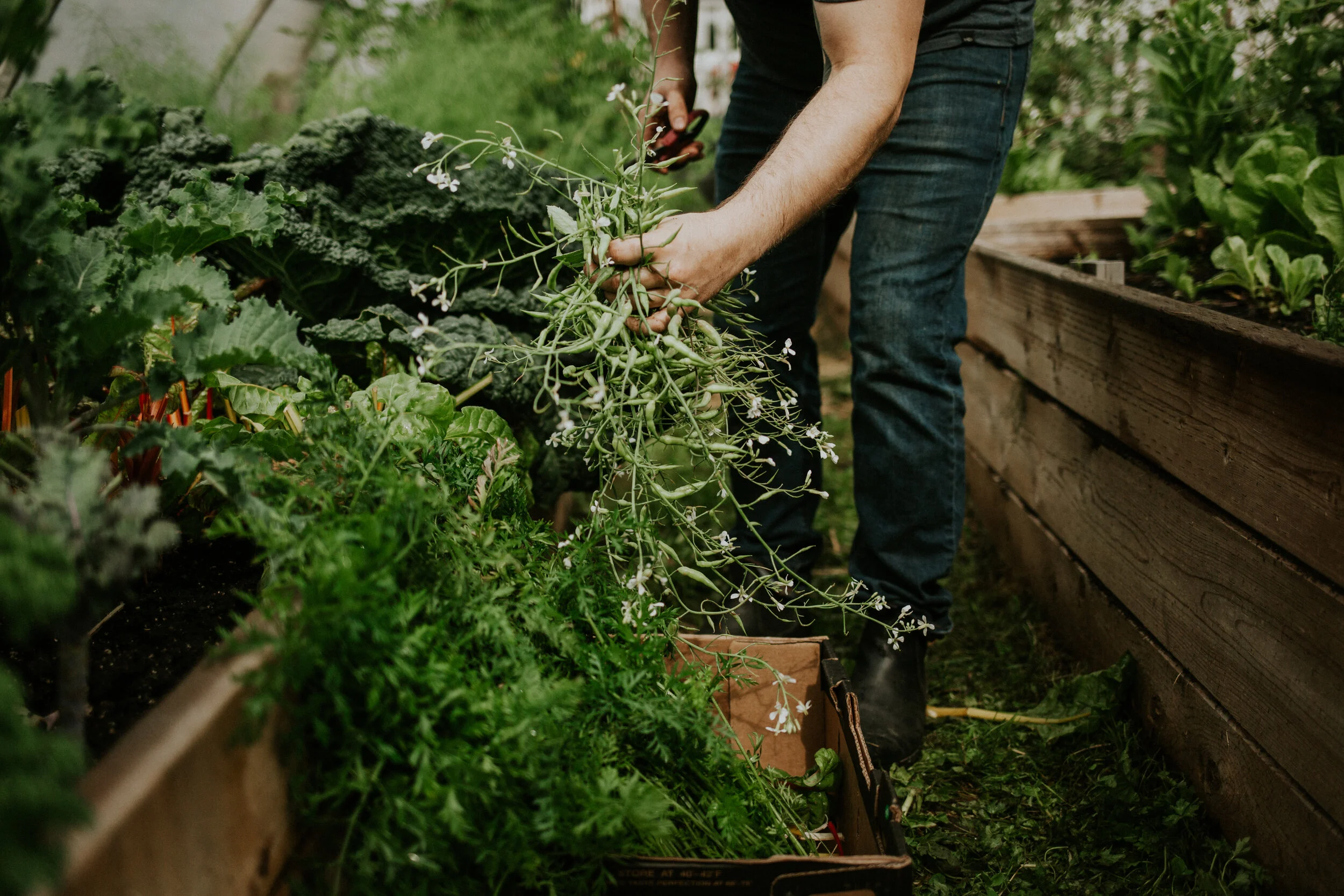 Downtown Chilliwack Dining at Bravo Restaurant - The Fraser Valley