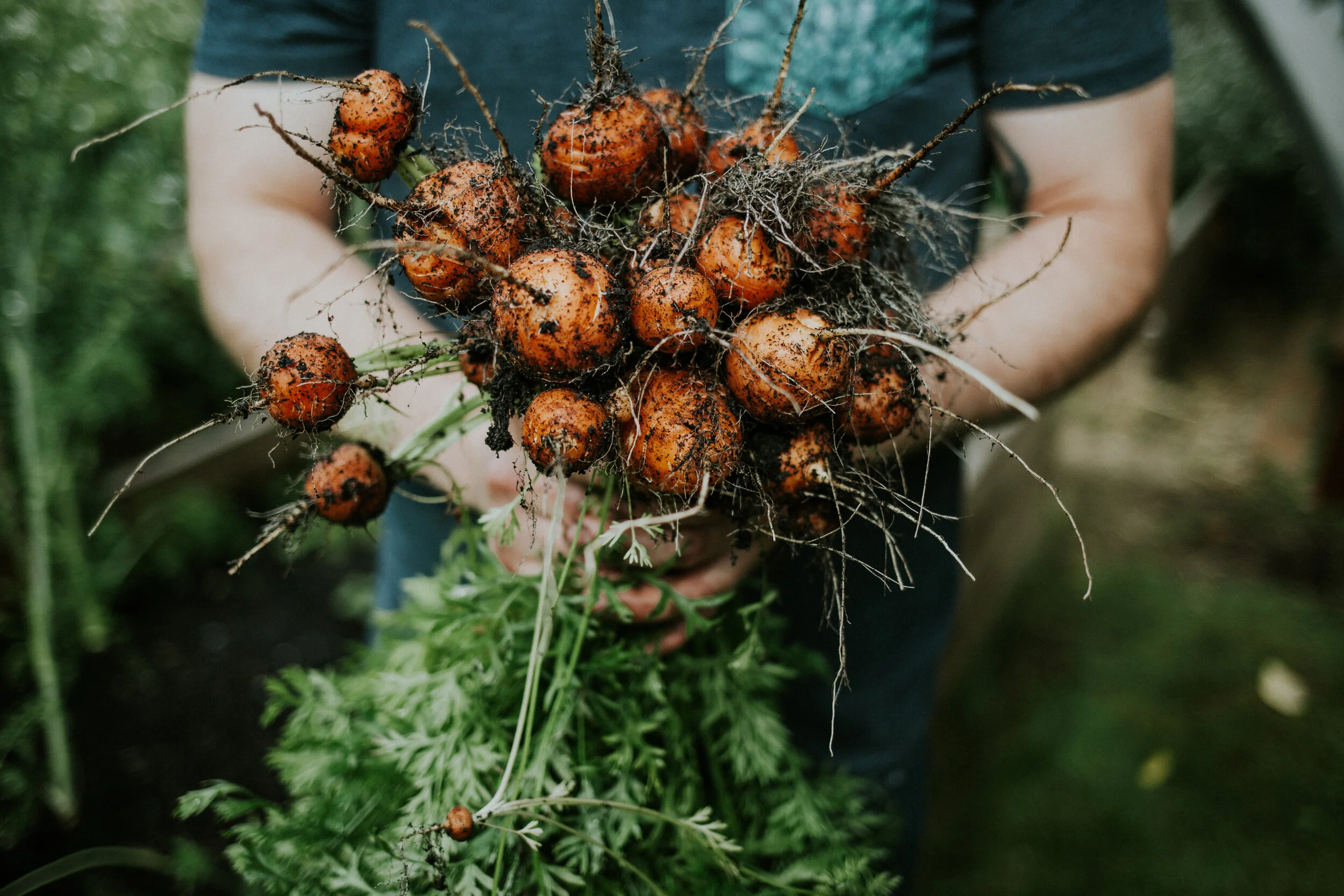 Downtown Chilliwack Dining at Bravo Restaurant - The Fraser Valley