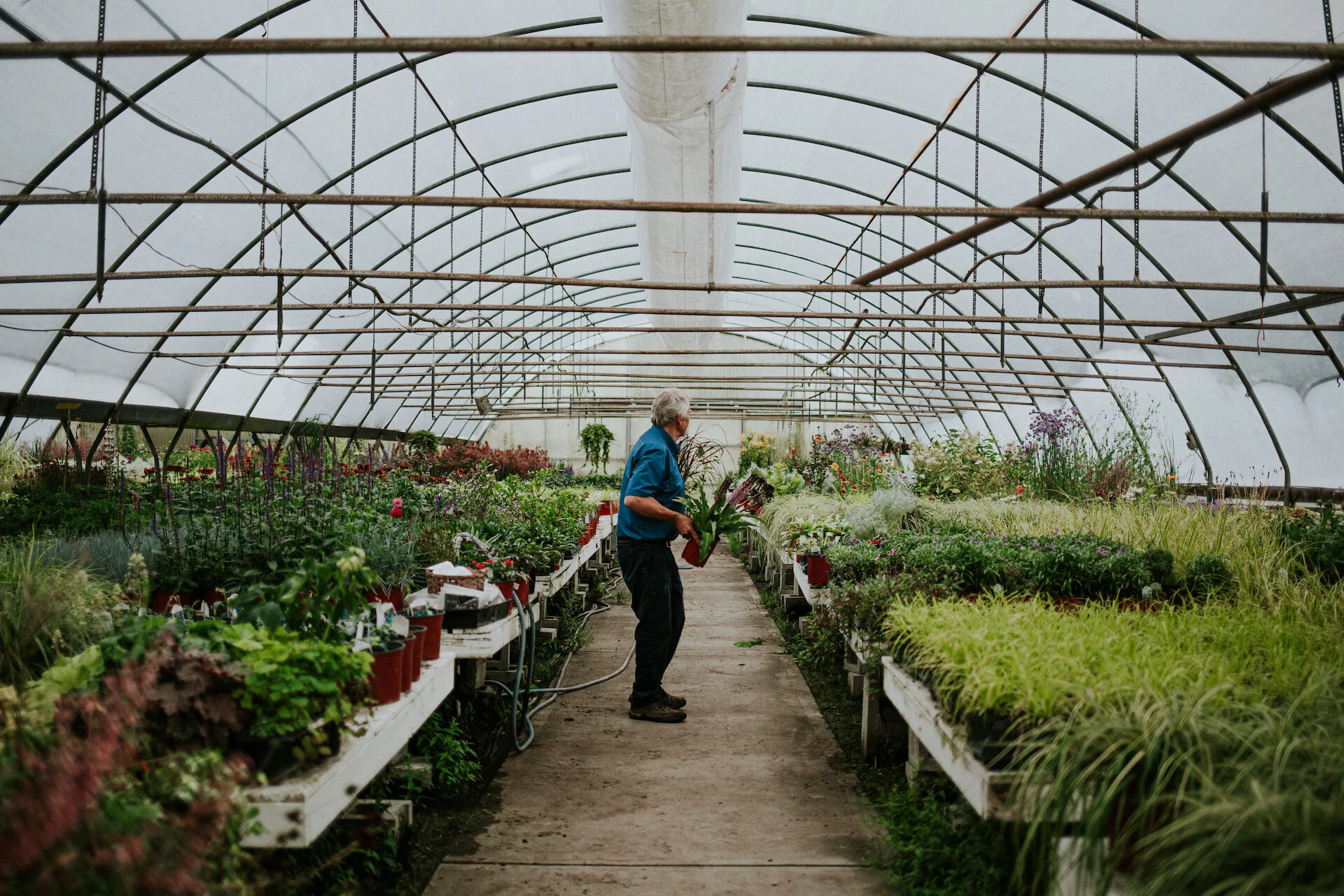 The Grandeur of Minter Country Garden - The Fraser Valley