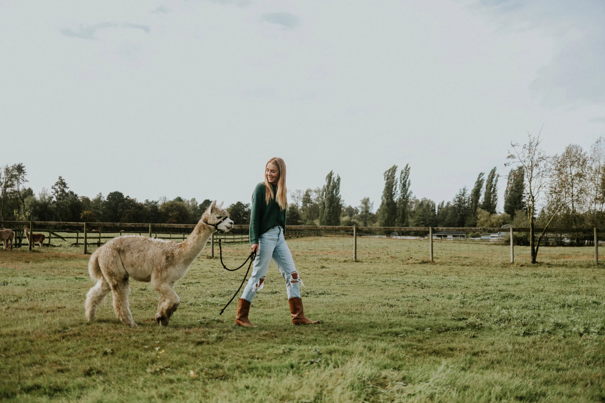 Kensington Prairie Farm - The Fraser Valley