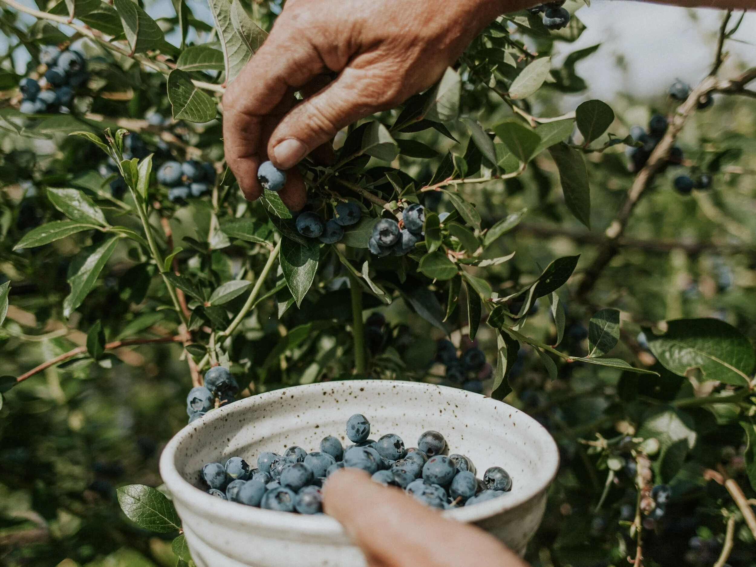 Explore the Fraser Valley Circle Farm Tour - The Fraser Valley