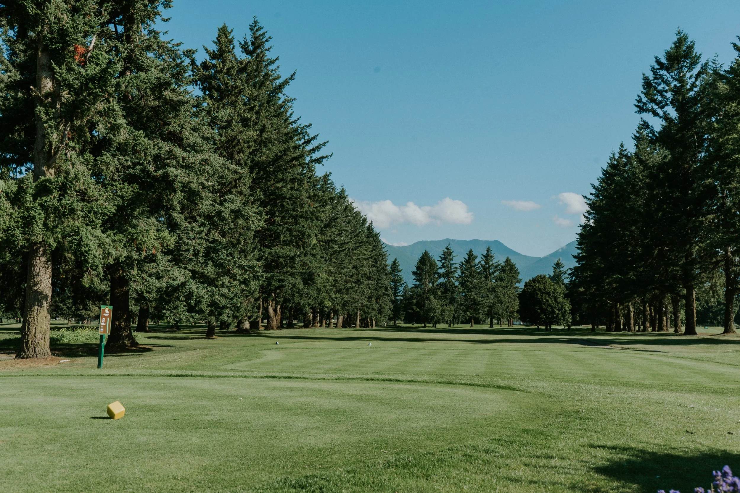Tee-Time on The Fairway - The Fraser Valley