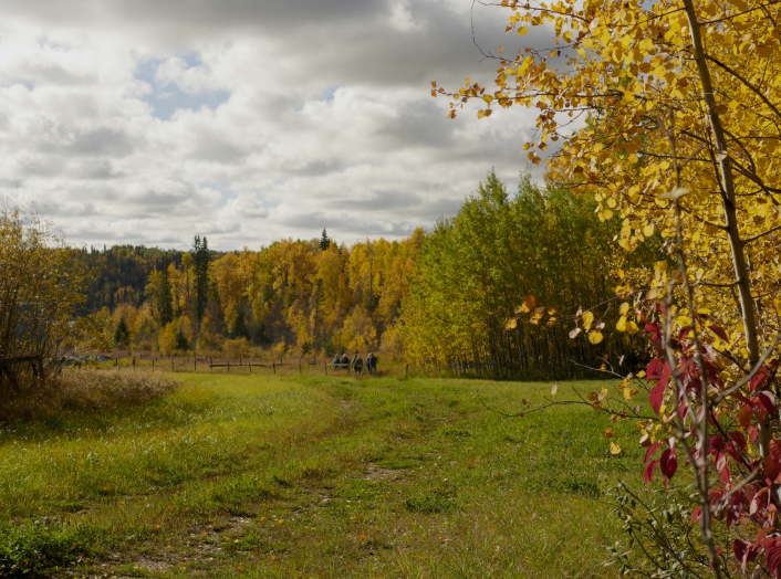 Battle River Arts