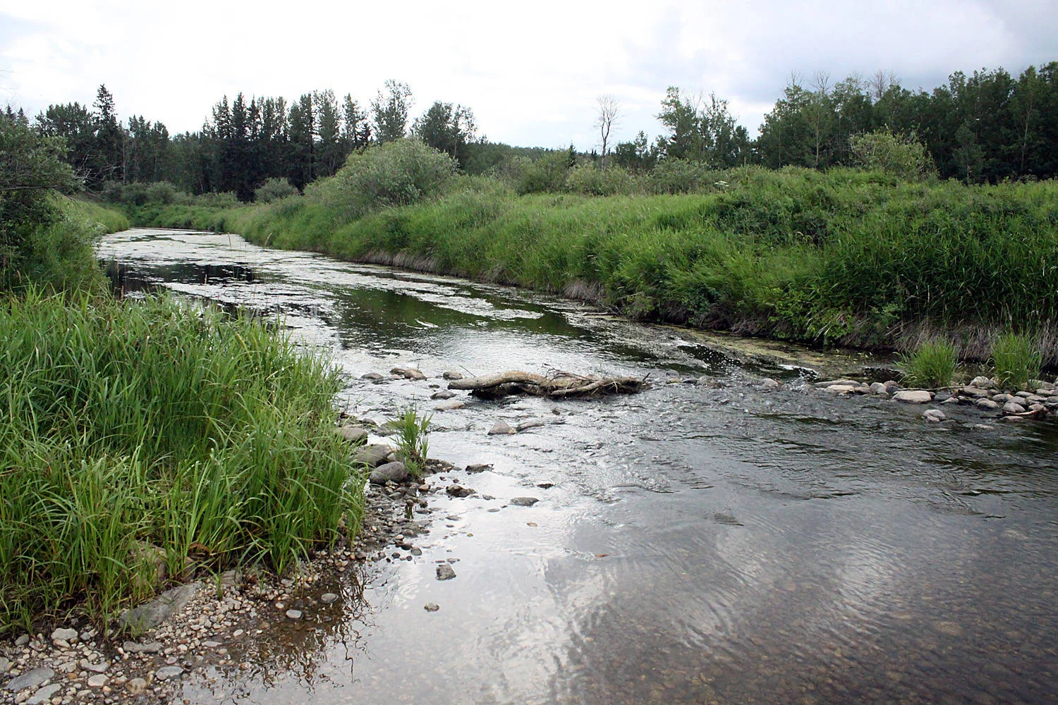 Battle River Arts