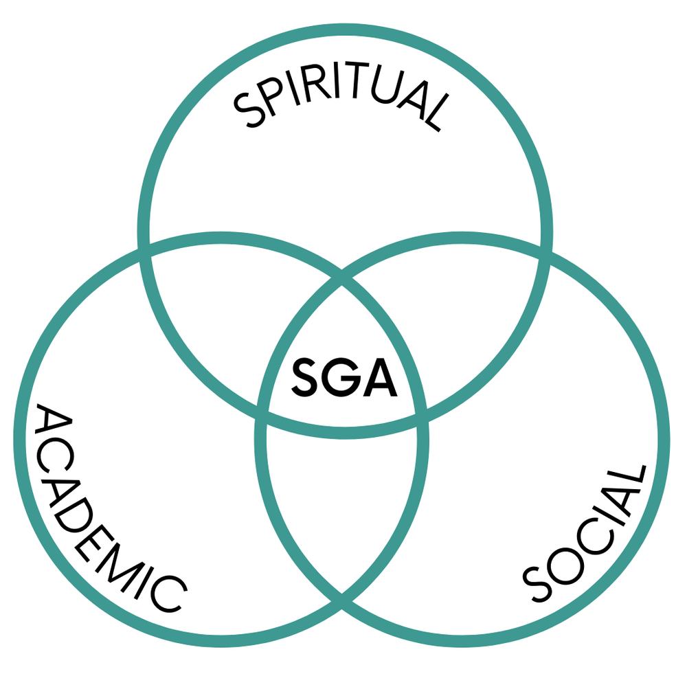 Vision Statement — Scholars Guild Academy