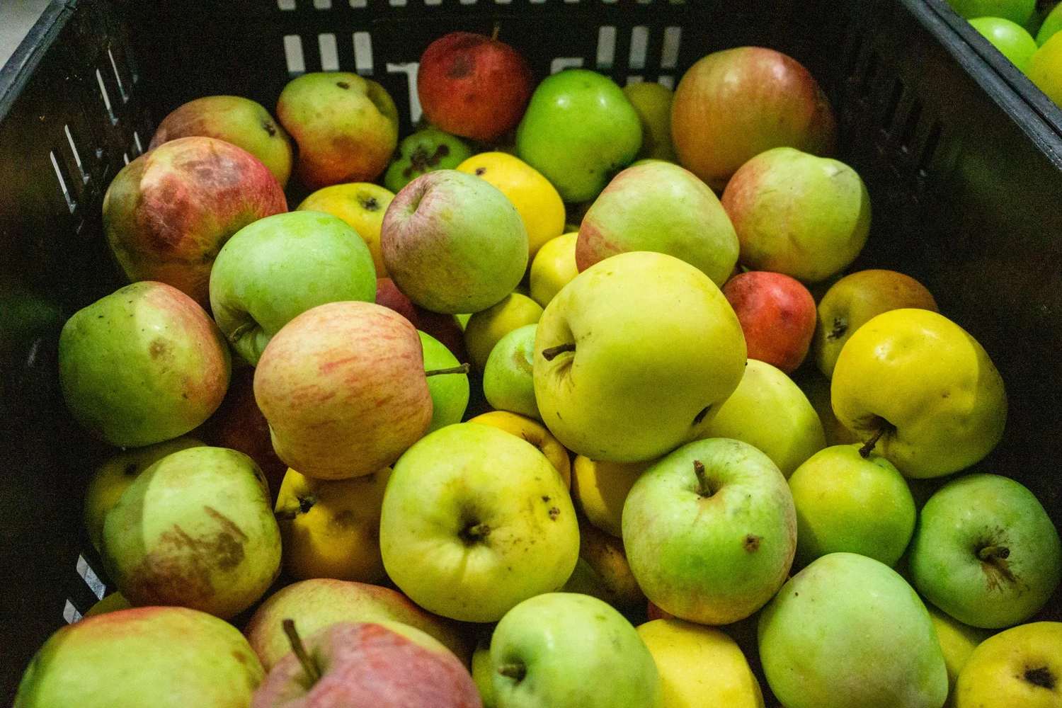 Serps Sidra — Super Glou - Importer & Distributor