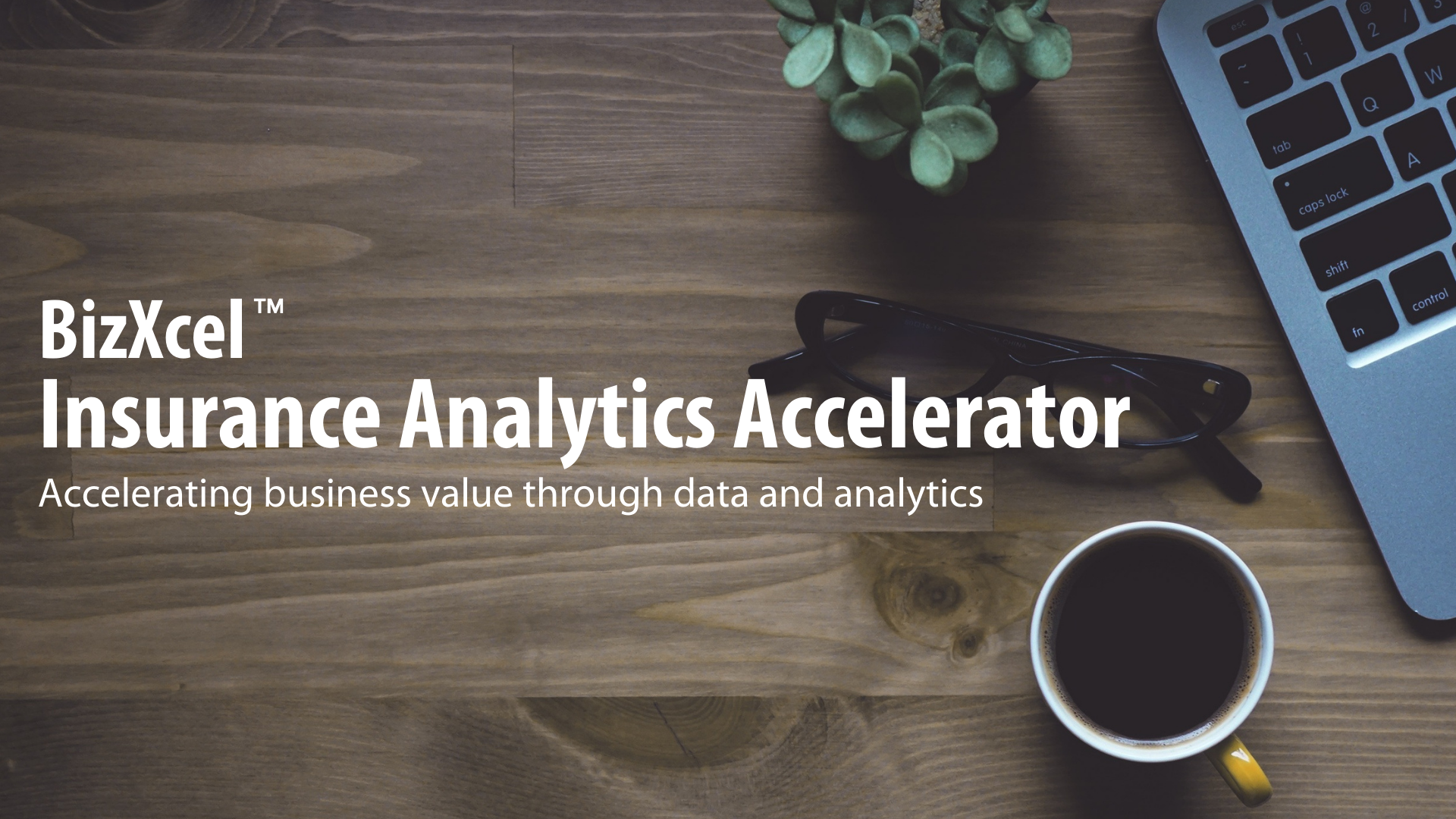 BizXcel™ develops new Financial Accelerator for the Insurance Industry ...