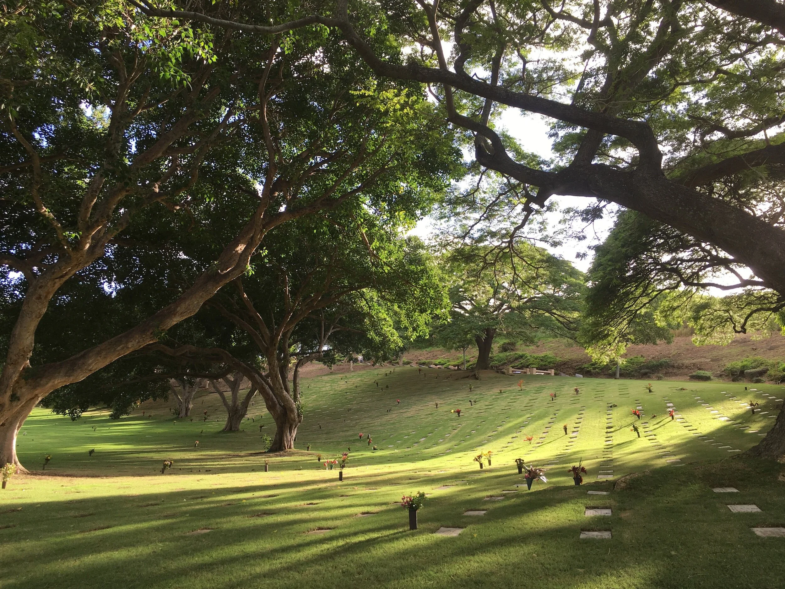 Services — Generations