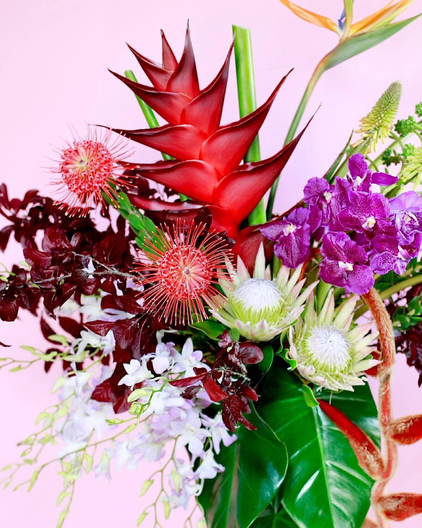 NoovoBloom | San Francisco, CA | Best Online Flower Delivery