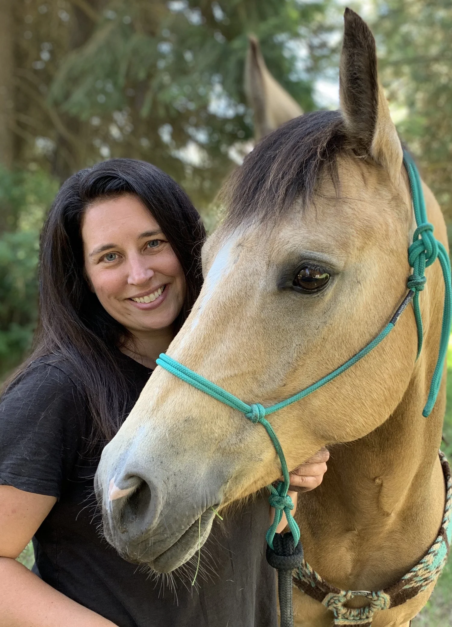 About - Dartmoor School