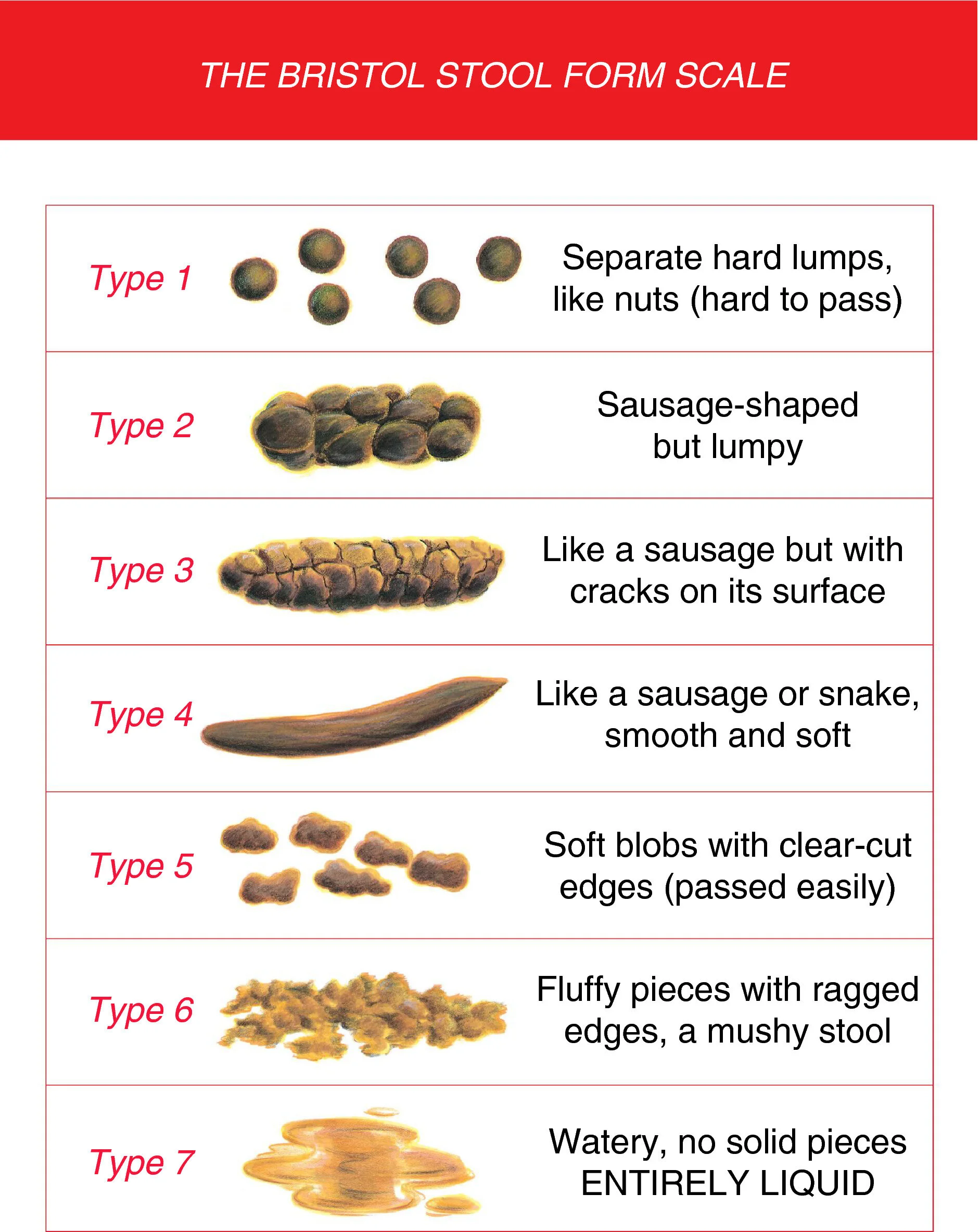 What Is Your POO Telling You Tray Wellness
