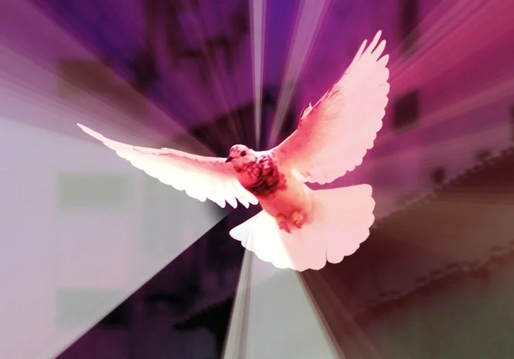 Divine Help: Caring for Yourself in a Stressed Out World with Angels ...