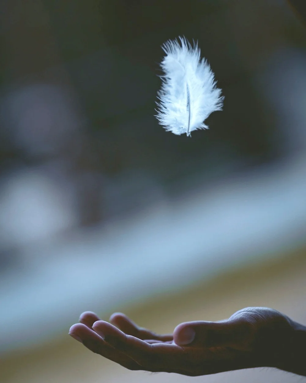 What Are The Most Common Angel Signs? Discover the Signs That Angels ...