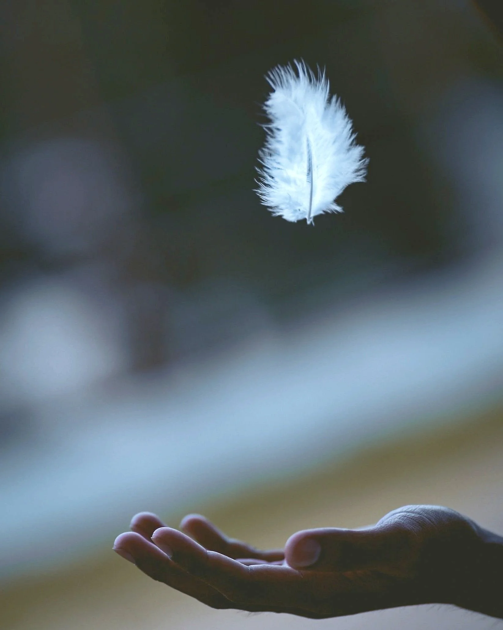 What Are The Most Common Angel Signs? Discover the Signs That Angels ...