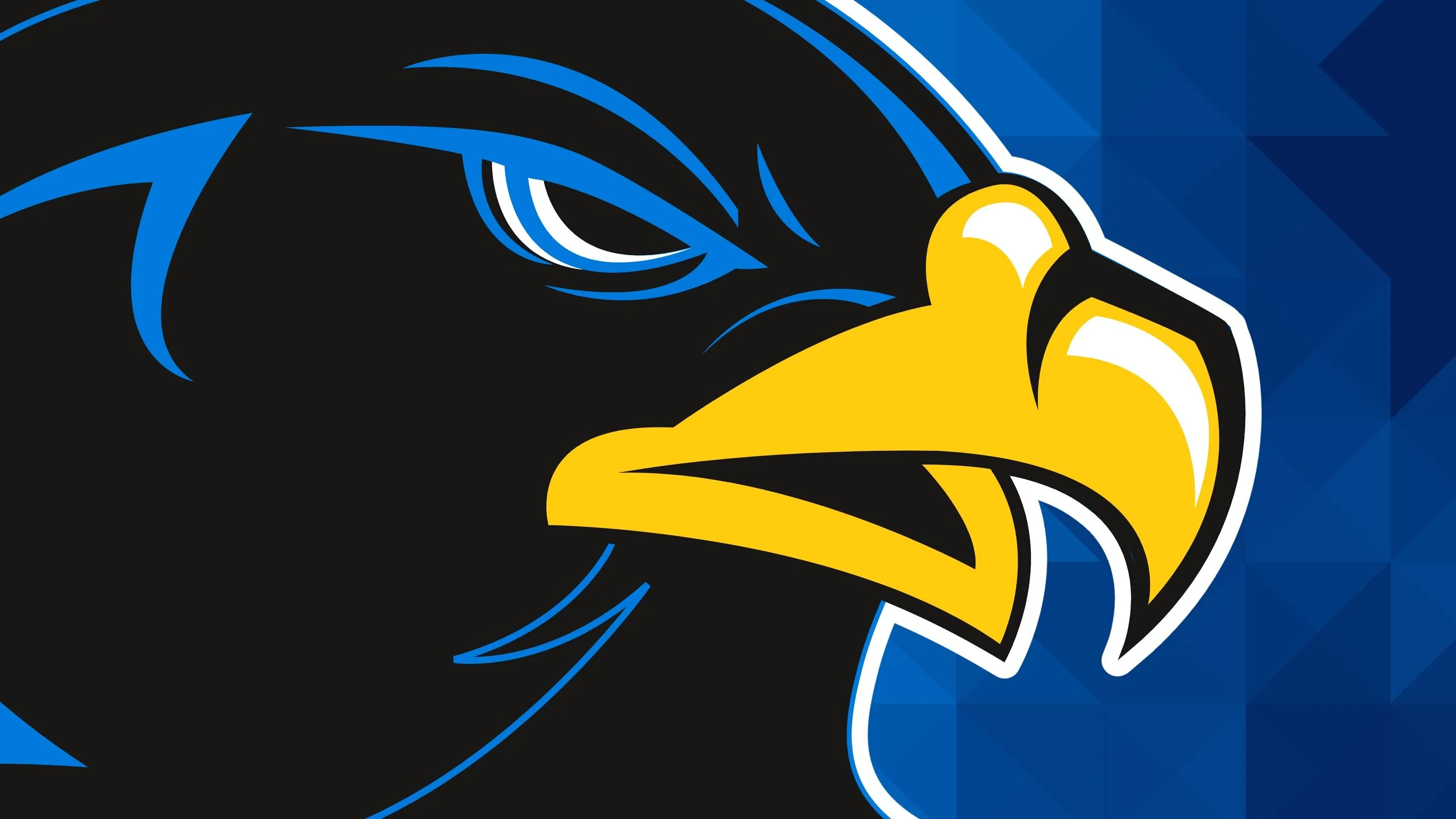 Nighthawk Wallpapers — Hettinger Public School