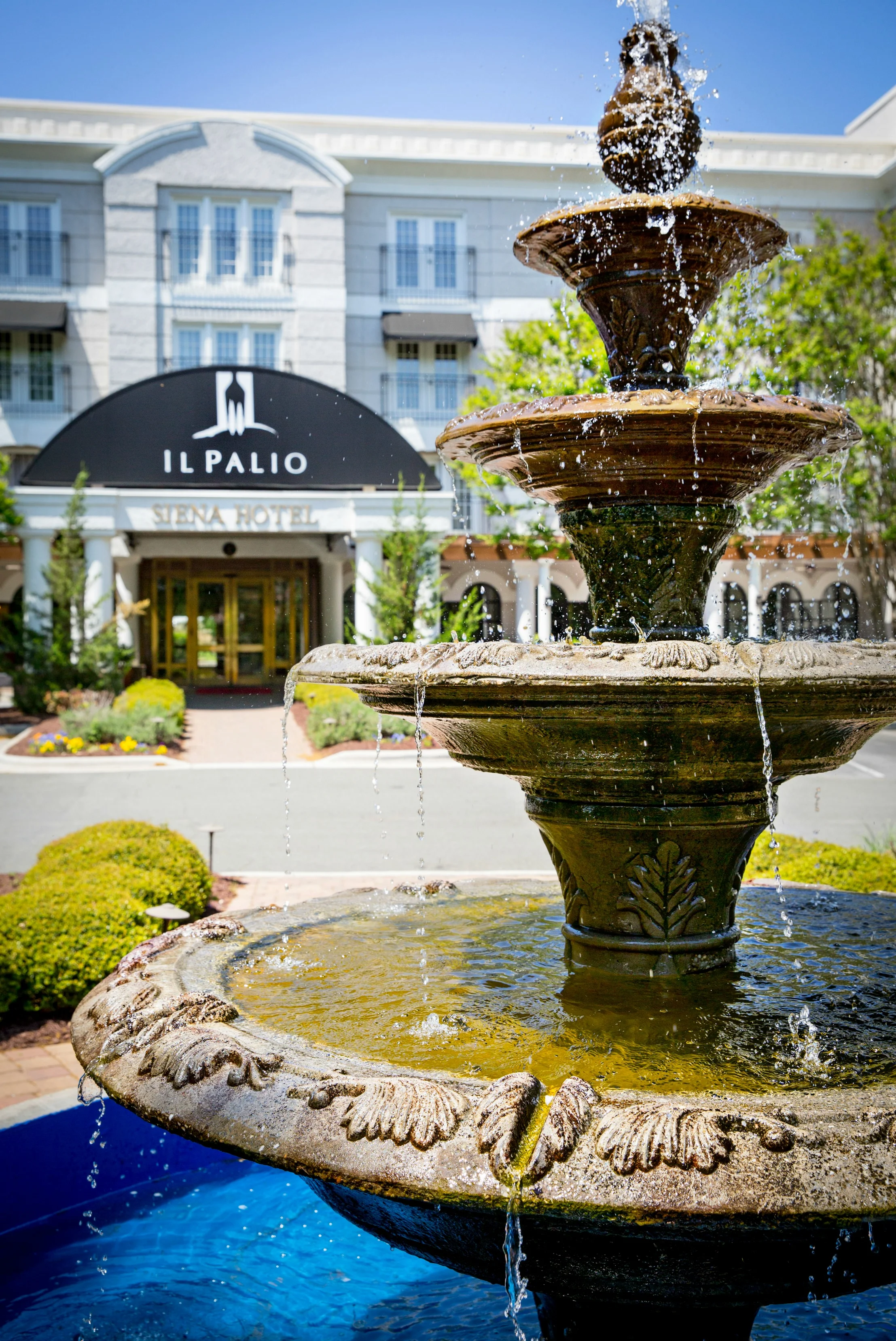 Gallery — Il Palio