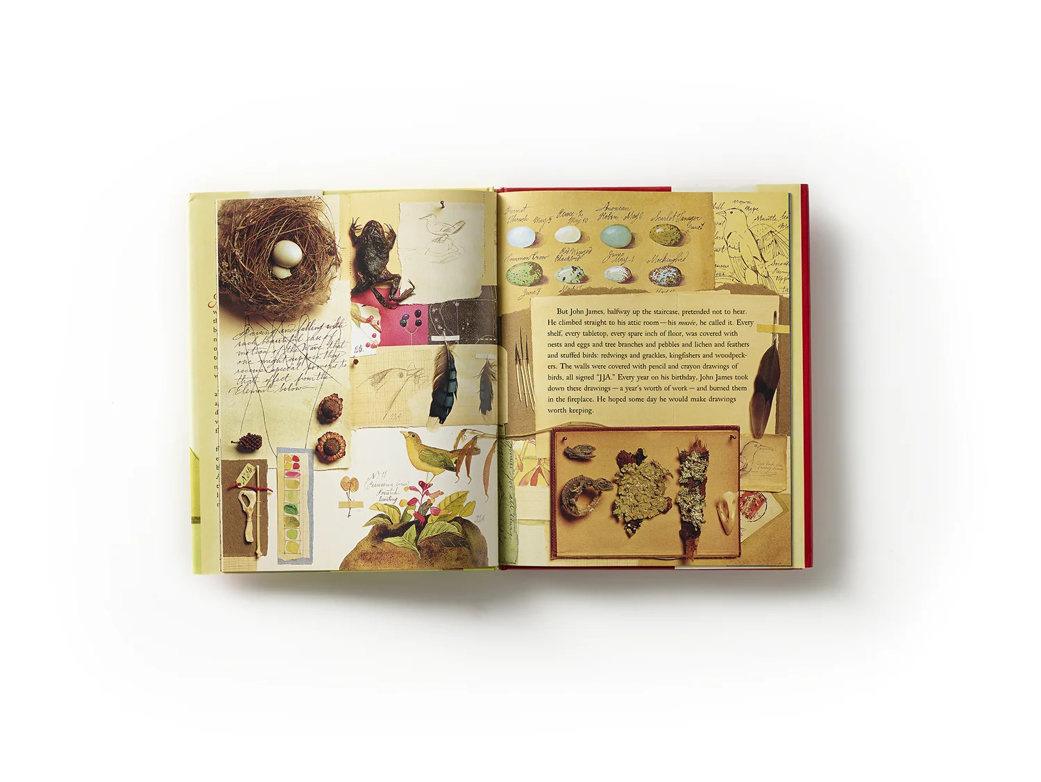 The Boy who Drew Birds — Melissa Sweet