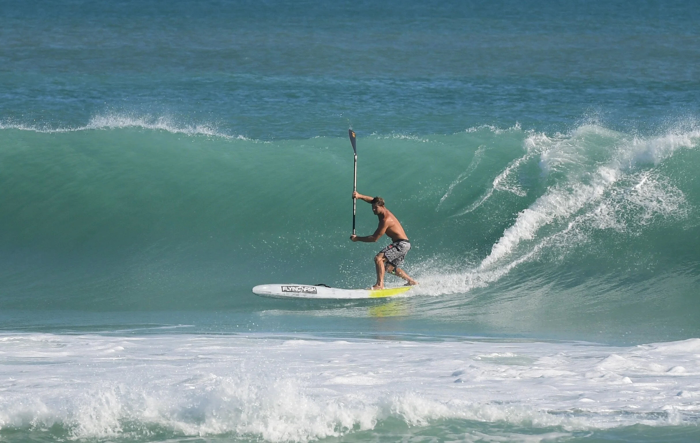 Flying Fish Board Co. — Flying Fish Board Co. Home