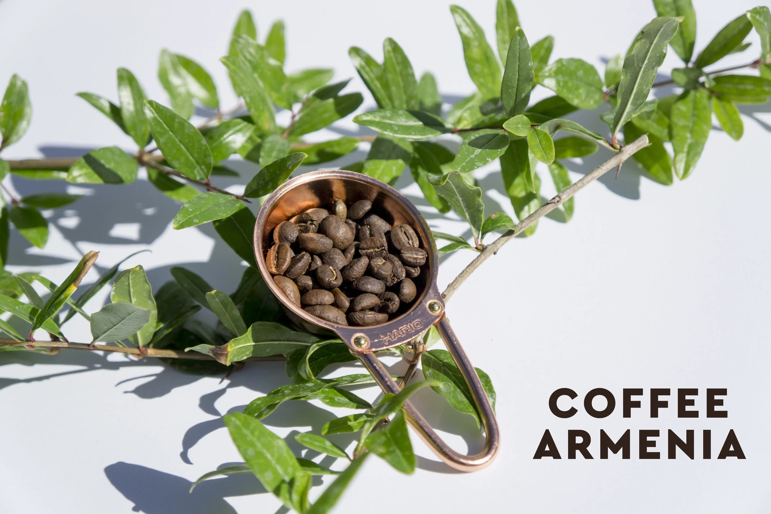 Coffee Armenia