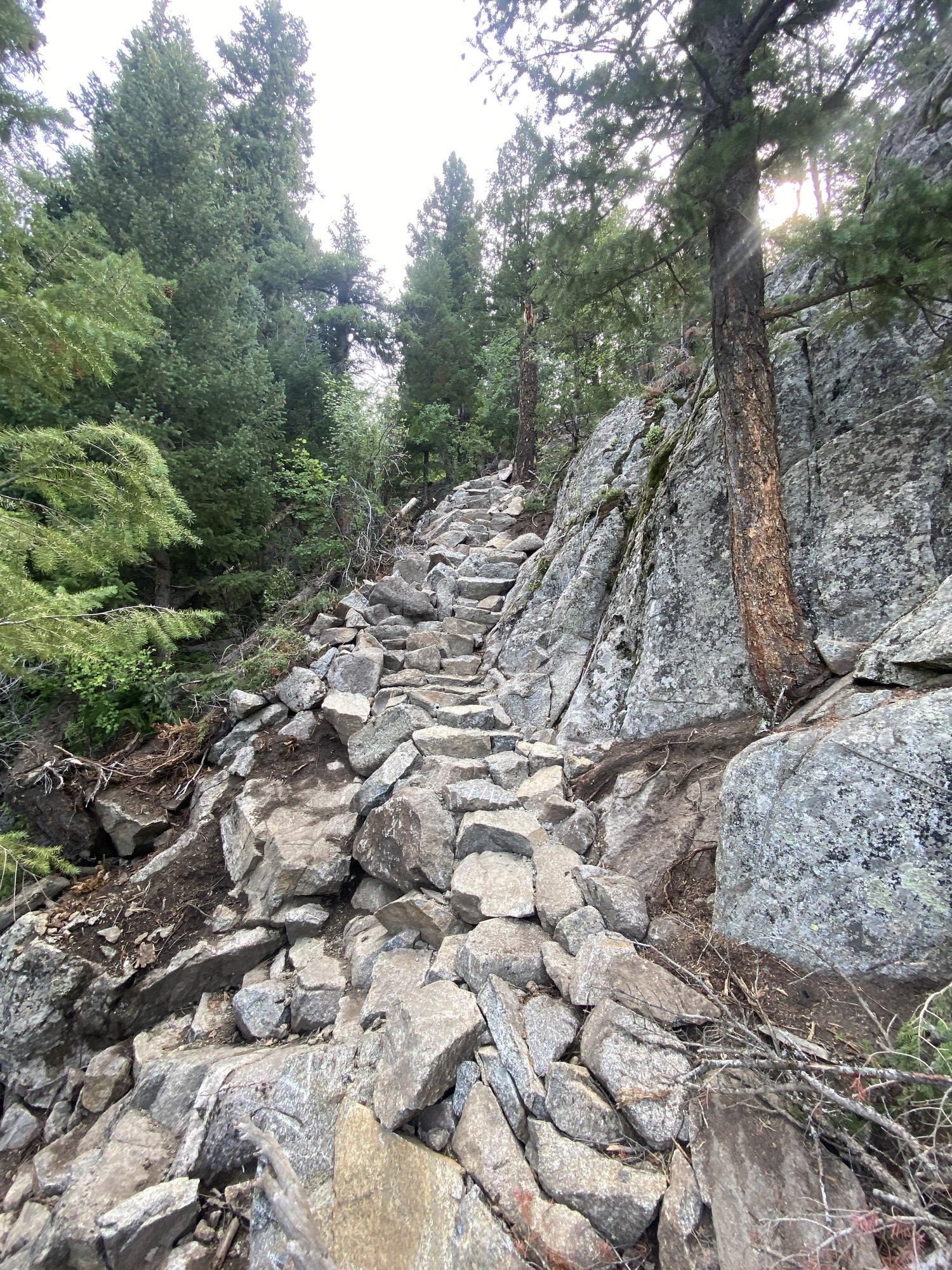 Let's Celebrate: 671 Bolts and Finished Trail at Upper Dream — Boulder Climbing Community