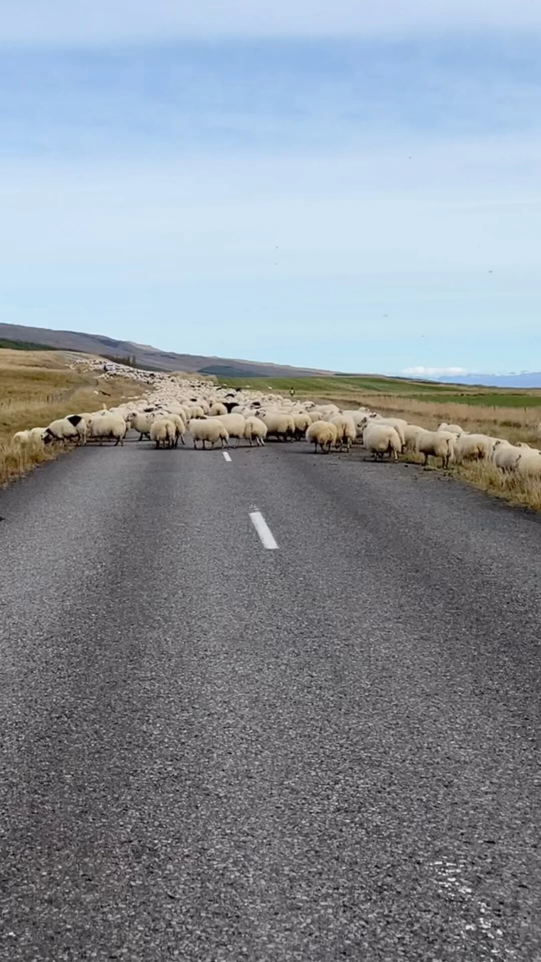 Mast boots, traditional vs. modern — Best Coast Canvas