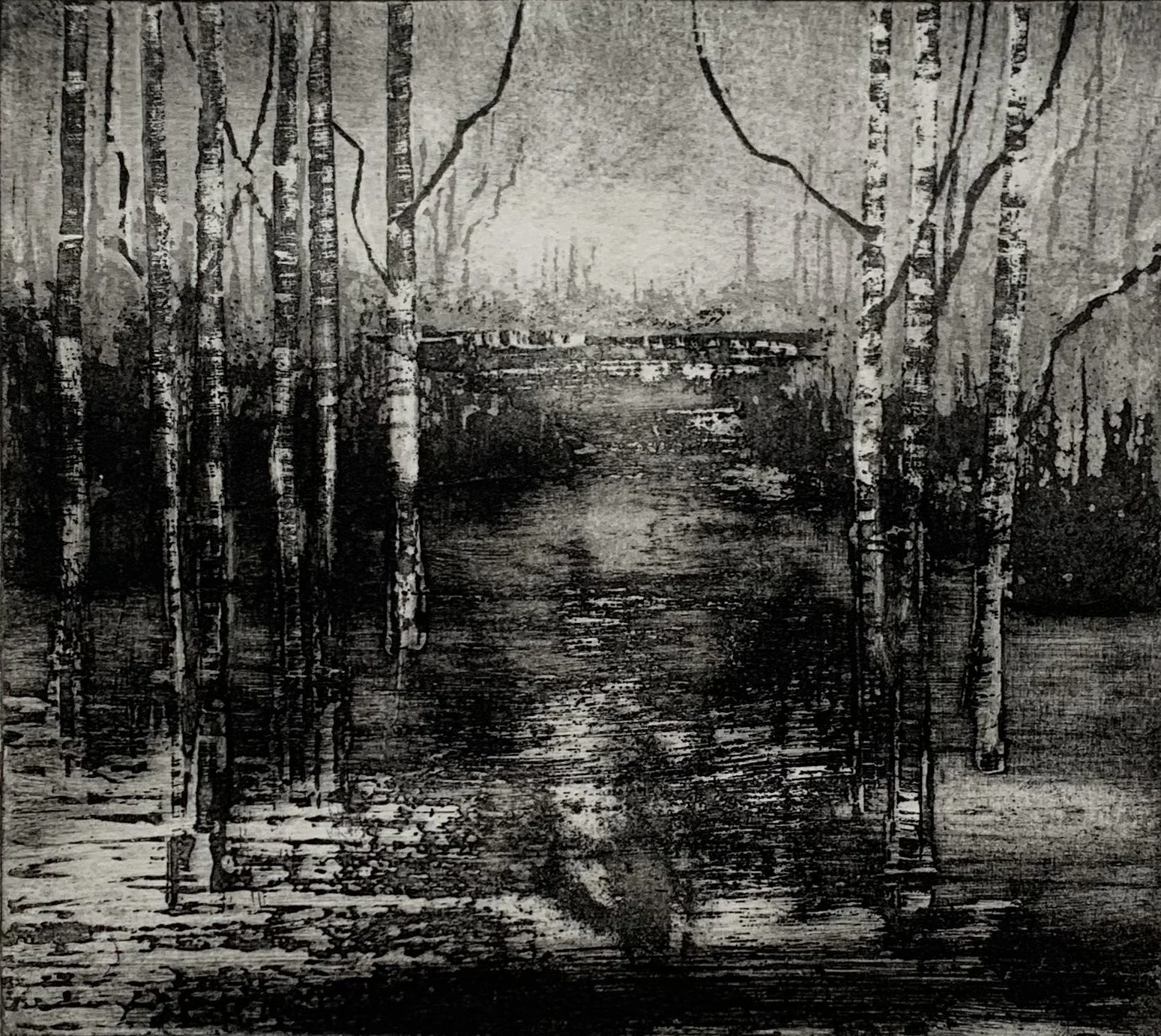 Sally Adkins: fine artist | printmaker | landscape