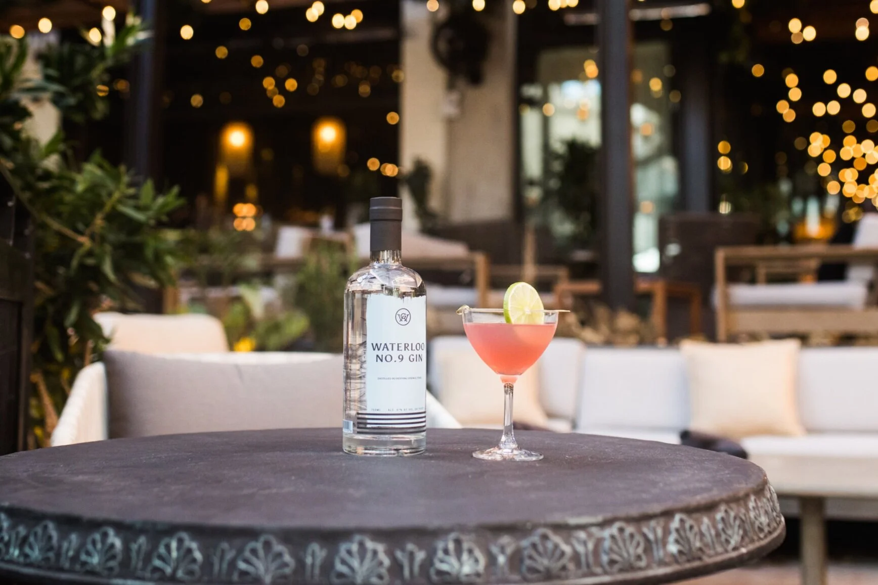 Waterloo Gin