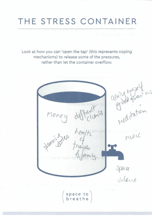 Using the Stress Container — Space to Breathe