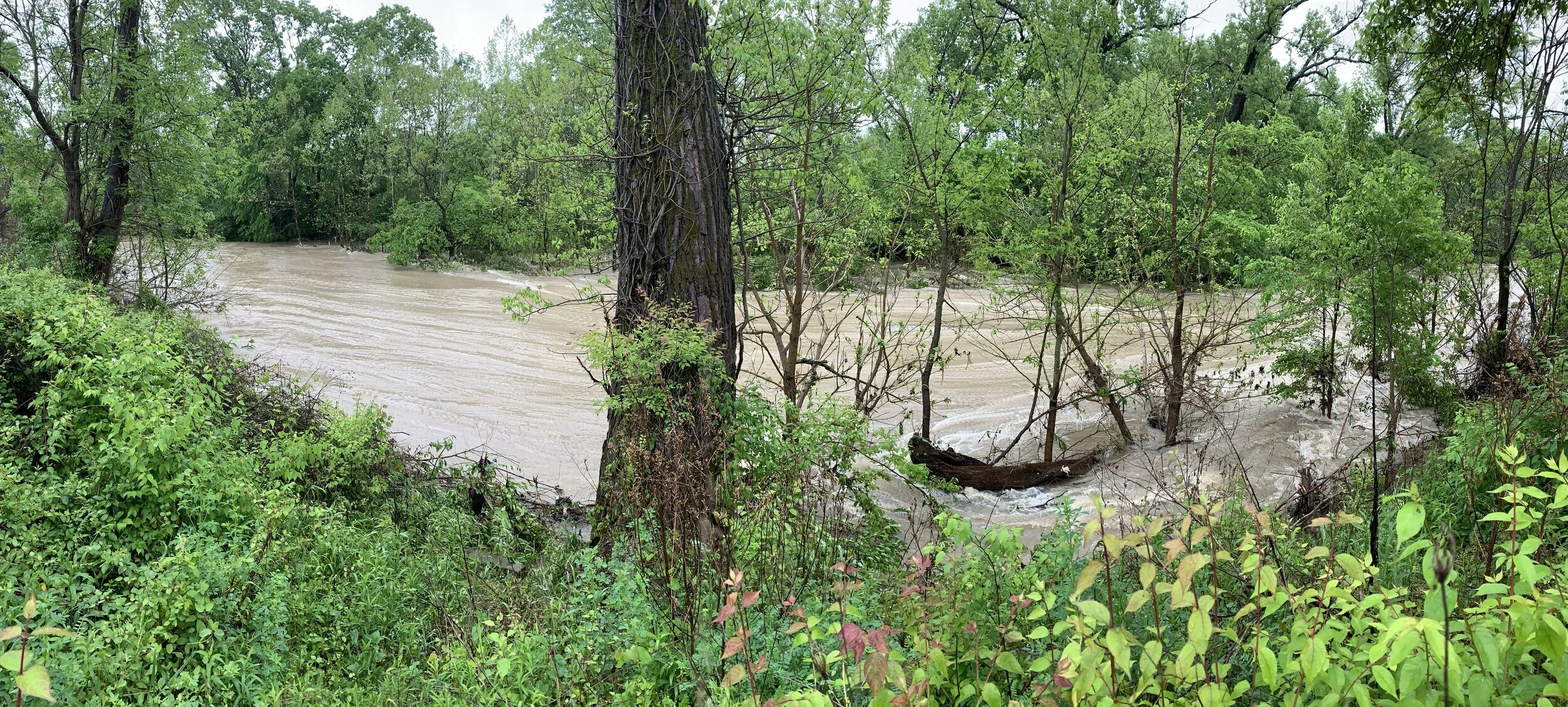 May 2020 Historic Rainfall on Mill Creek — Mill Creek Alliance