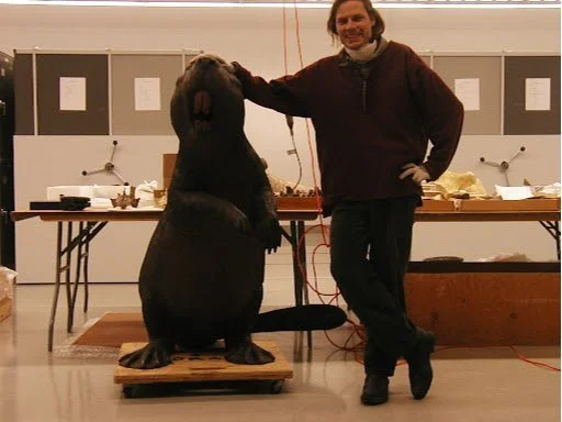 Beaver Facts and Myths — Mill Creek Alliance