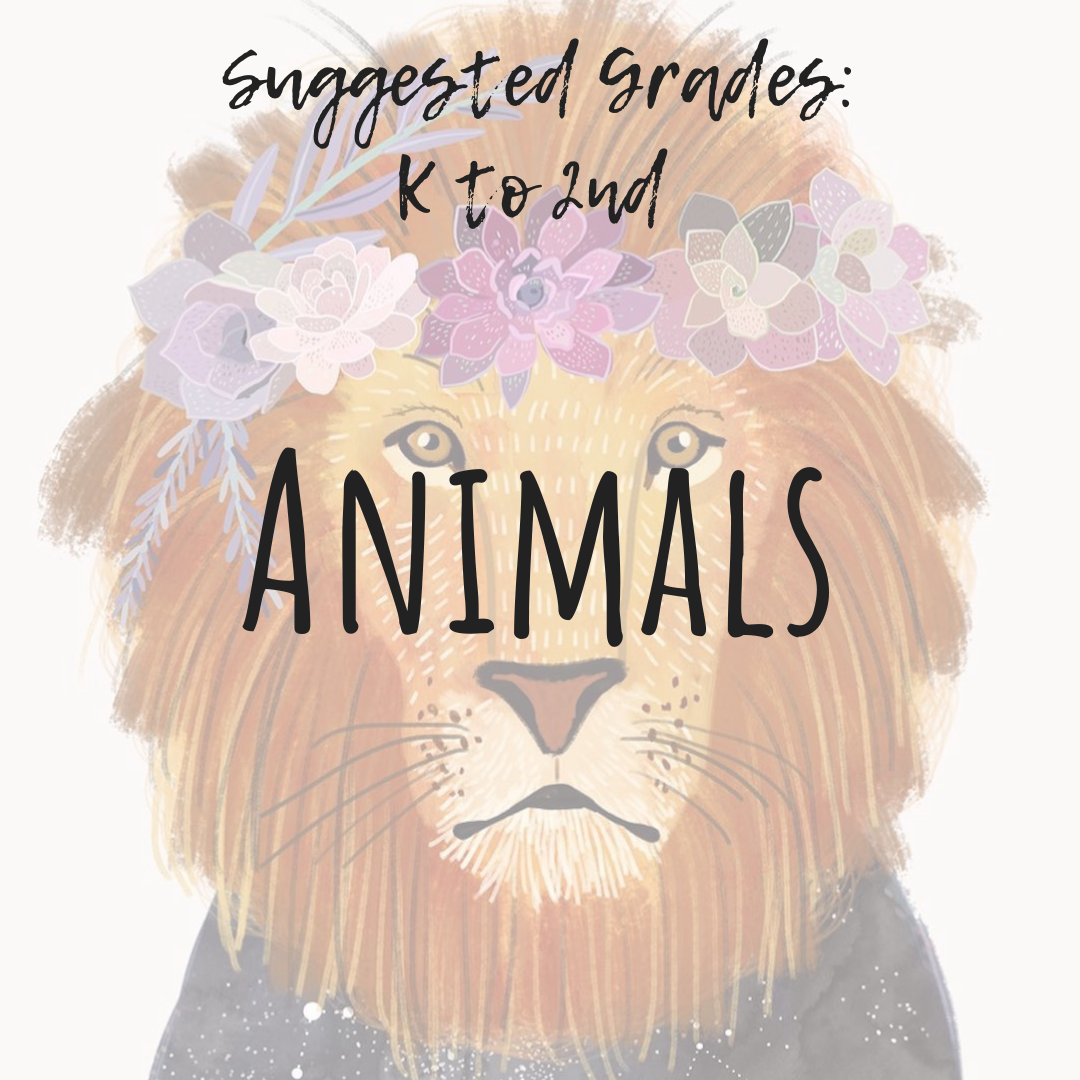 Field Trips: Bring Your Class or Group to The Story Shop! — The Story Shop