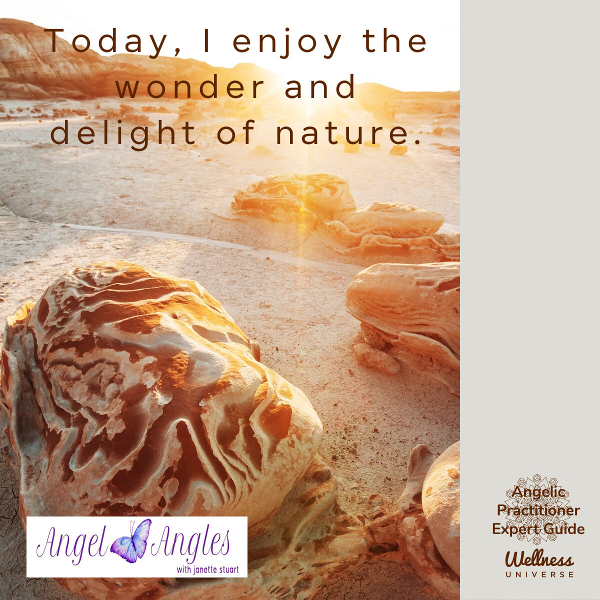 Schedule/Timing: Card of the Week Message - Love Notes from The Divine ...