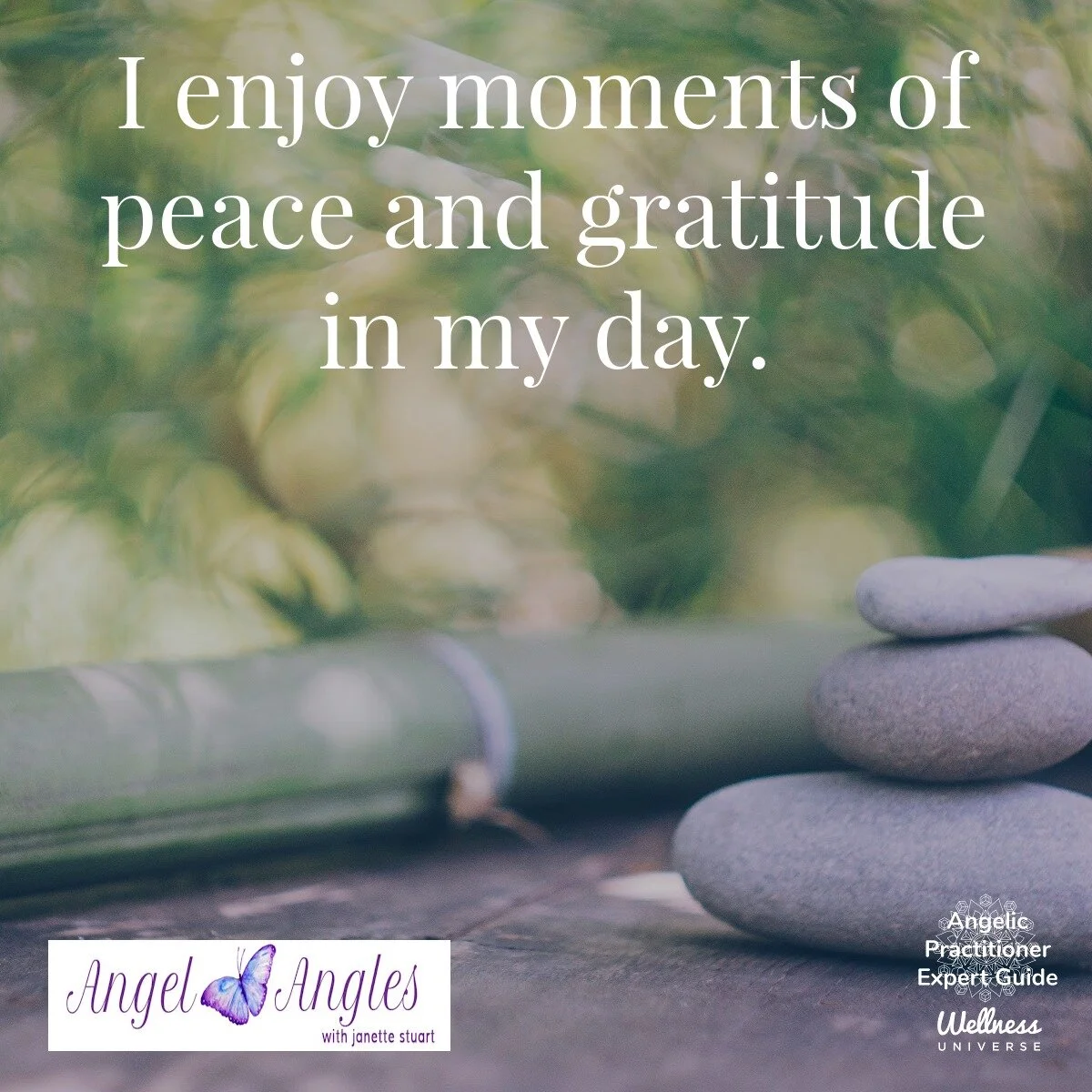 Wednesday — Angel Angles