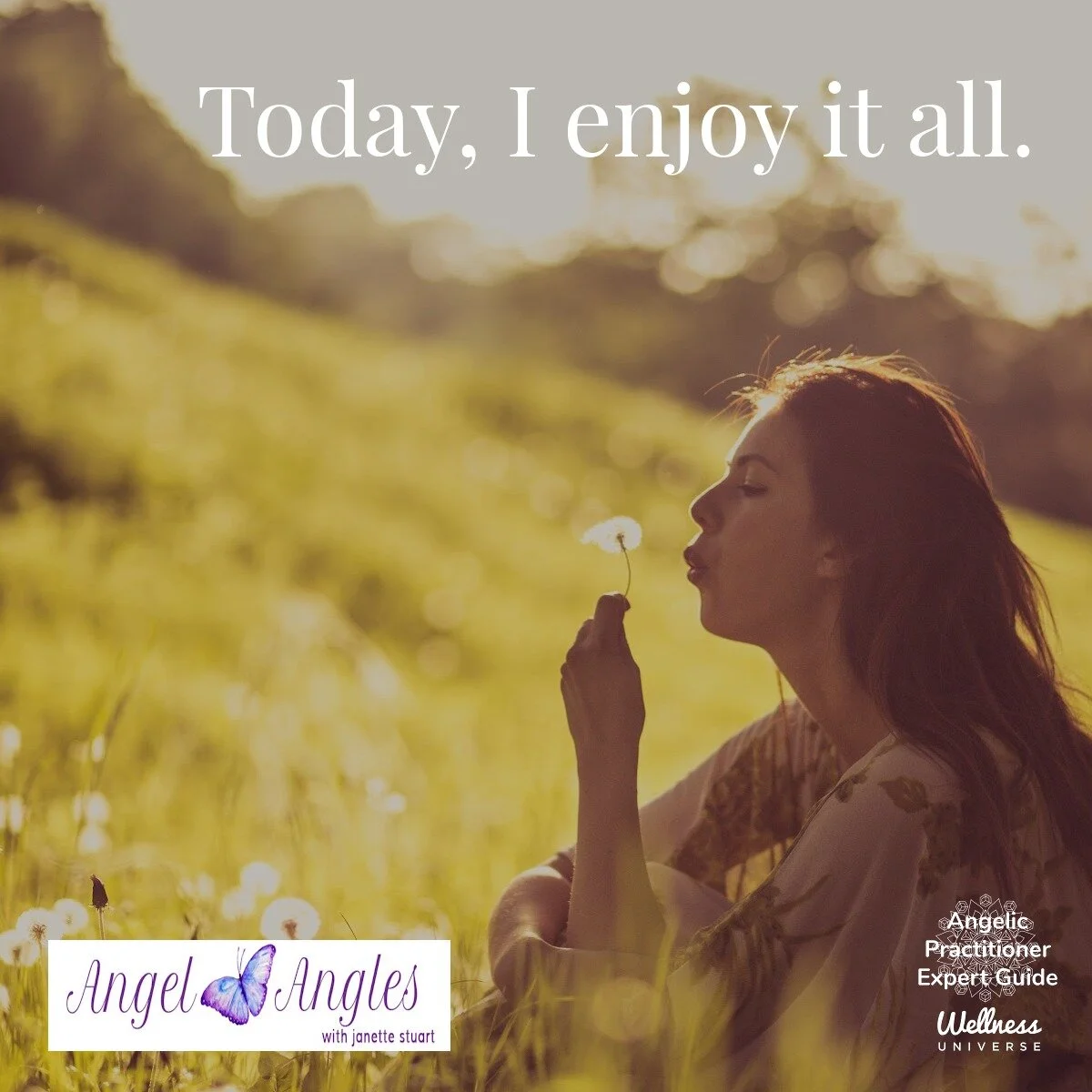 Wednesday — Angel Angles