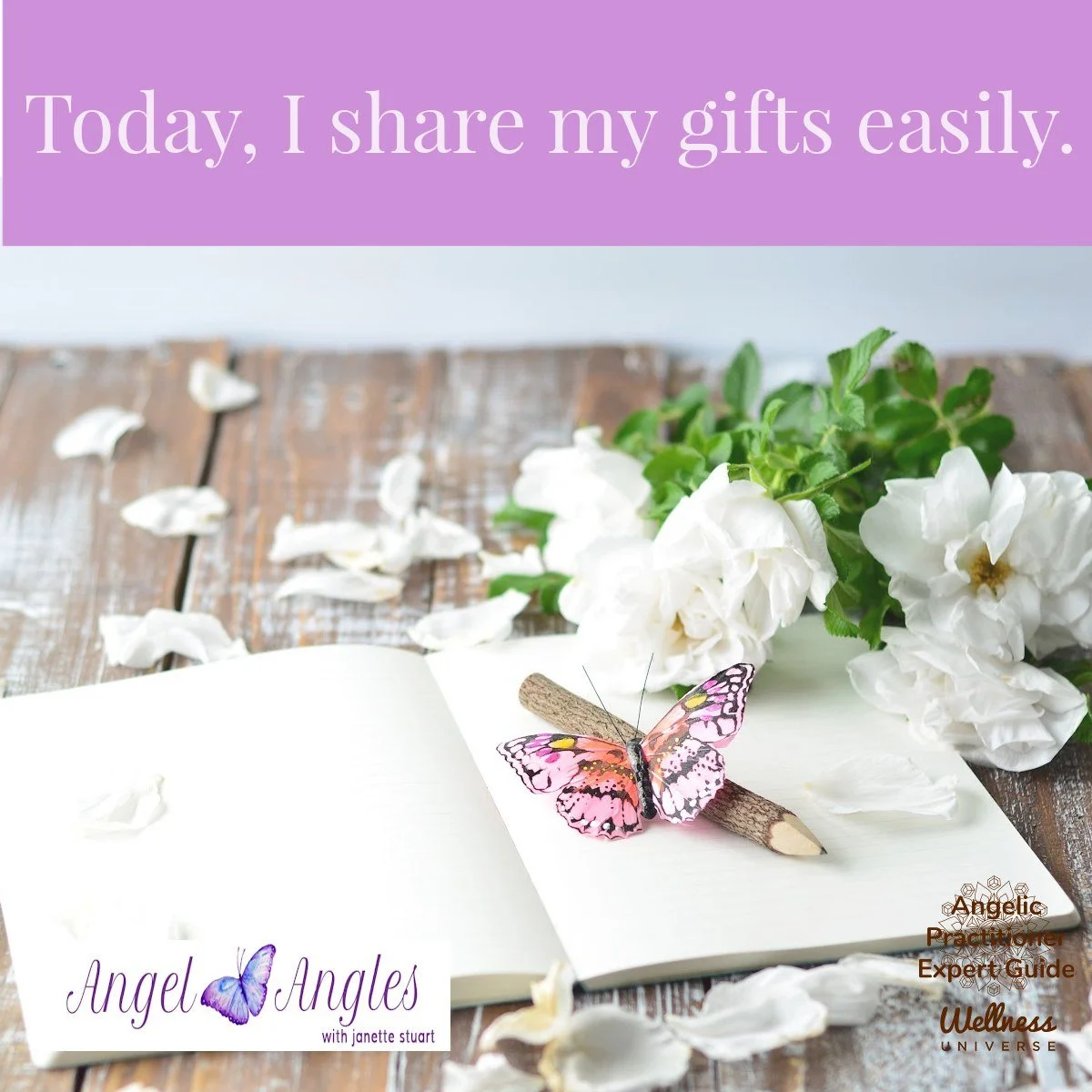 Schedule/Timing: Card of the Week Message - Love Notes from The Divine ...