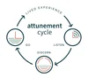 About Attunement — Attune