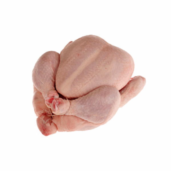 Shop — Abbott Family Farm