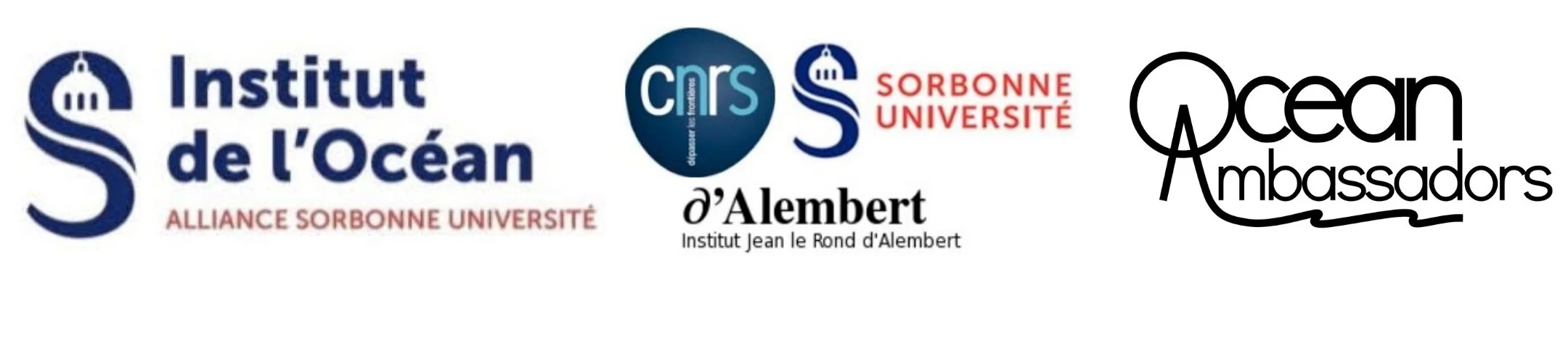 Ethics For Ocean - What is the ethics for the oceans? — Ocean Ambassadors