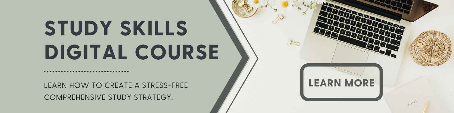 Guided Study Sessions — Absolutely Studying