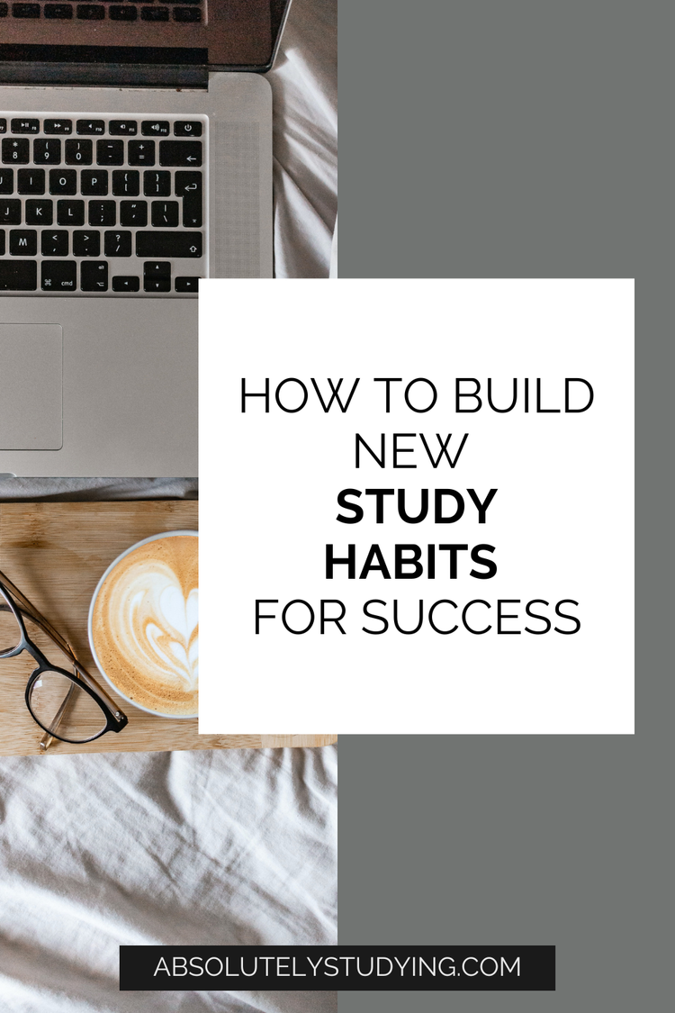 How to Build Effective Study Habits for Academic Success