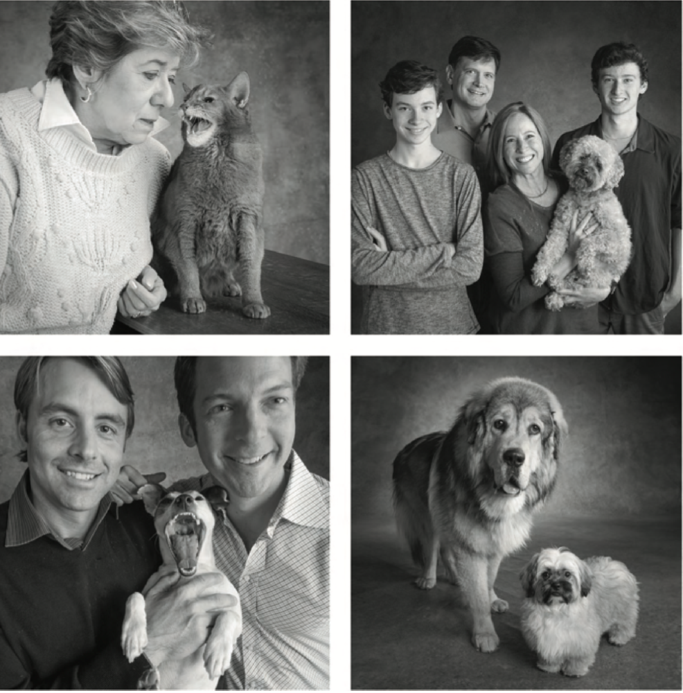 David Sutton Studios